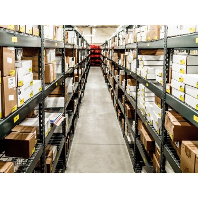 AT4Z-6268-C Primary Timing Chain